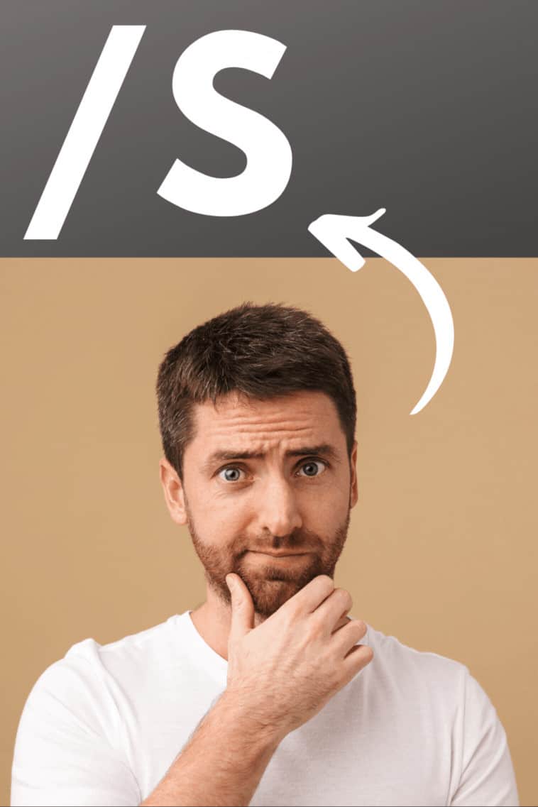 s”: Meaning, Usage & Examples | Linguaholic Blog