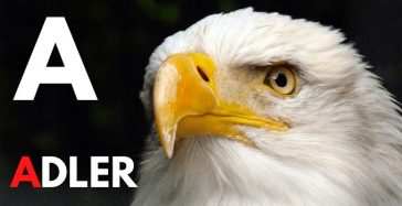 The German Alphabet: Letters, Spelling & Pronunciation – Linguablog