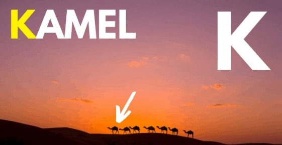 The German Alphabet: Letters, Spelling & Pronunciation – Linguablog