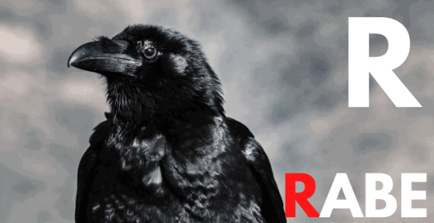 The German Alphabet: Letters, Spelling & Pronunciation – Linguablog