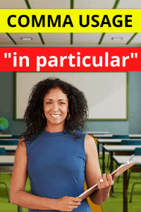 Comma before or after "in particular": The Definitive Guide