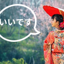 The Real Meaning of Japanese "Dattebayo" (だってばよ)