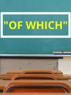 How to use "in which" in a Sentence