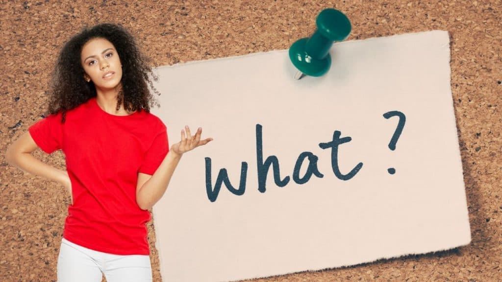 Which vs. What: The Definitive Guide