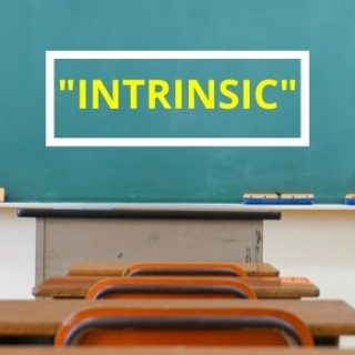 How to Use the Word "intrinsic" in a Sentence