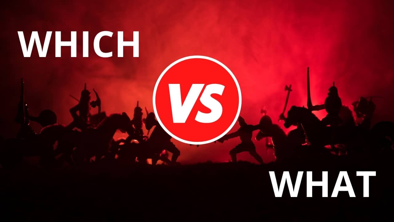 Which vs. What: The Definitive Guide