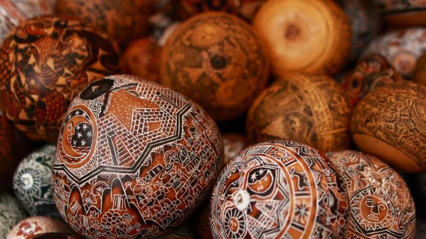 "Indigenous" in a Sentence — Here's How It Works!