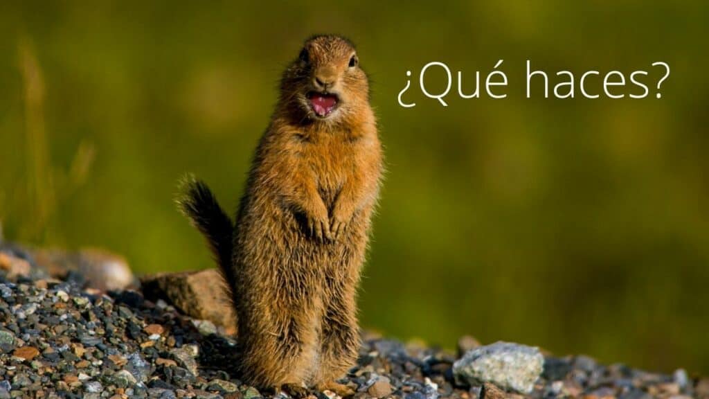 The Meaning of "Qué haces" in English — Explained in Detail!