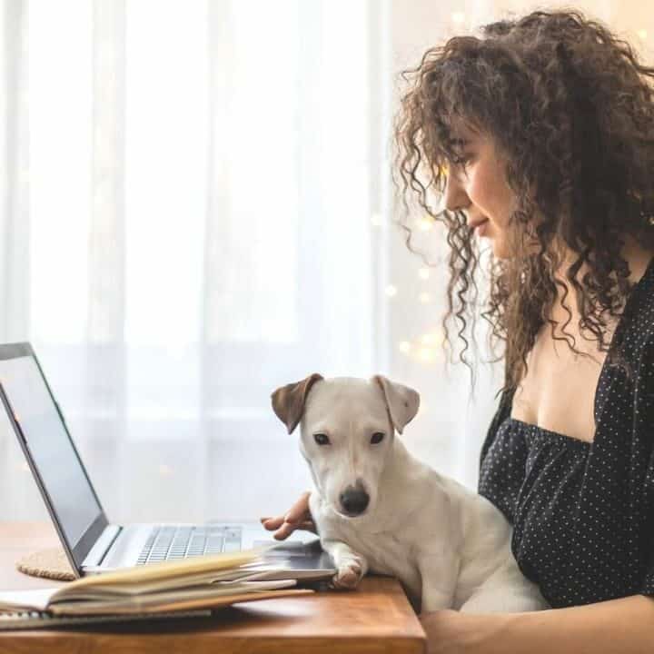 How to Put Availability on a Resume – Top 10 Tips!