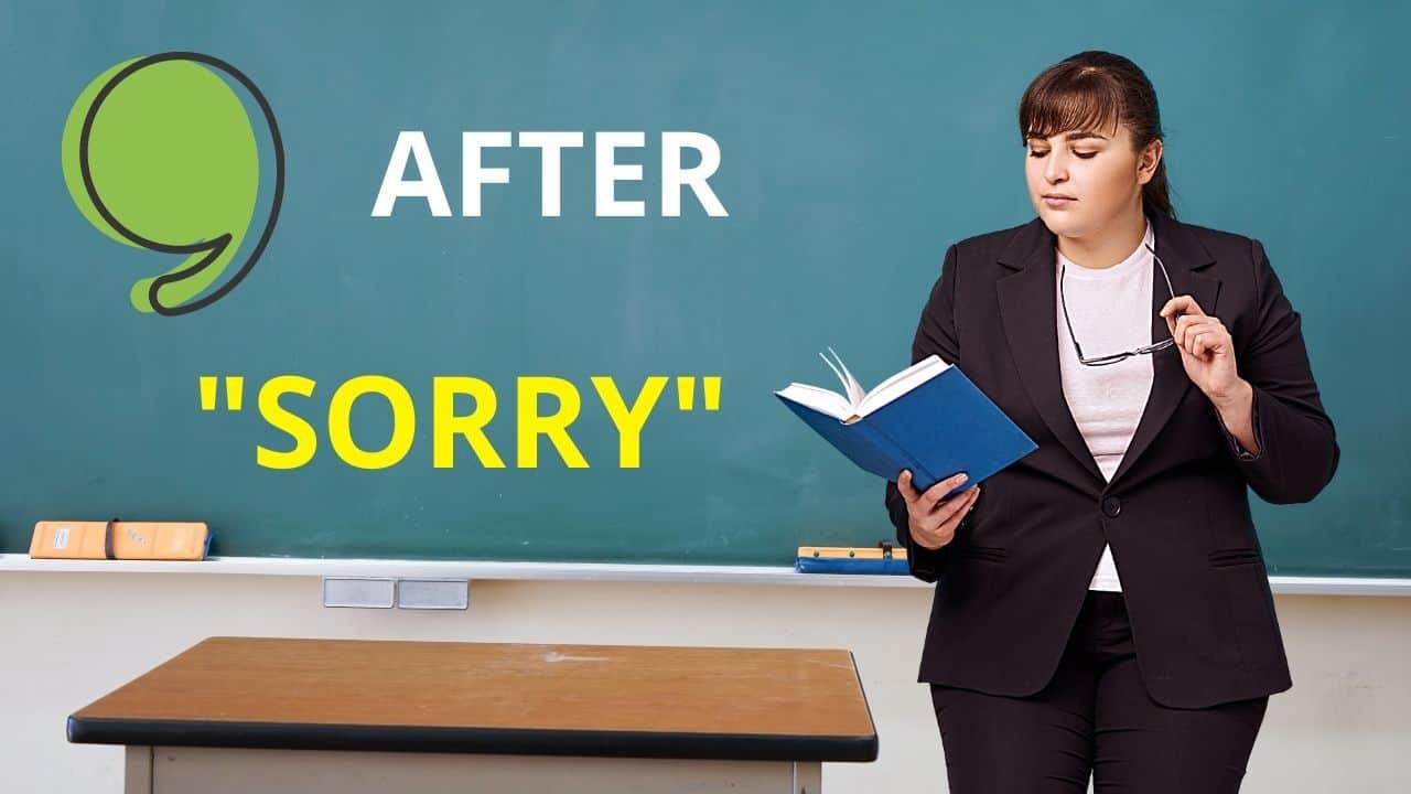 Comma after "sorry" — The Complete Guide