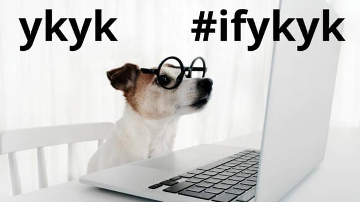 "ykyk" — Meaning, Context & Examples