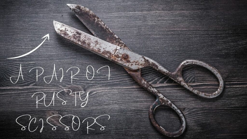 20 Things that Come in Pairs — with Example Sentences