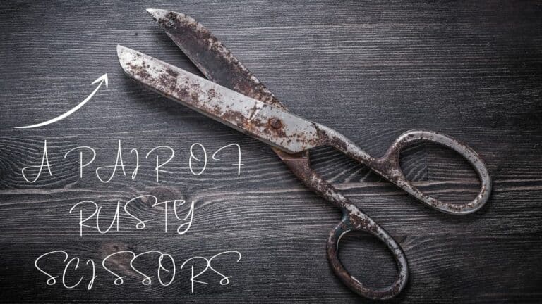 20 Things that Come in Pairs — with Example Sentences
