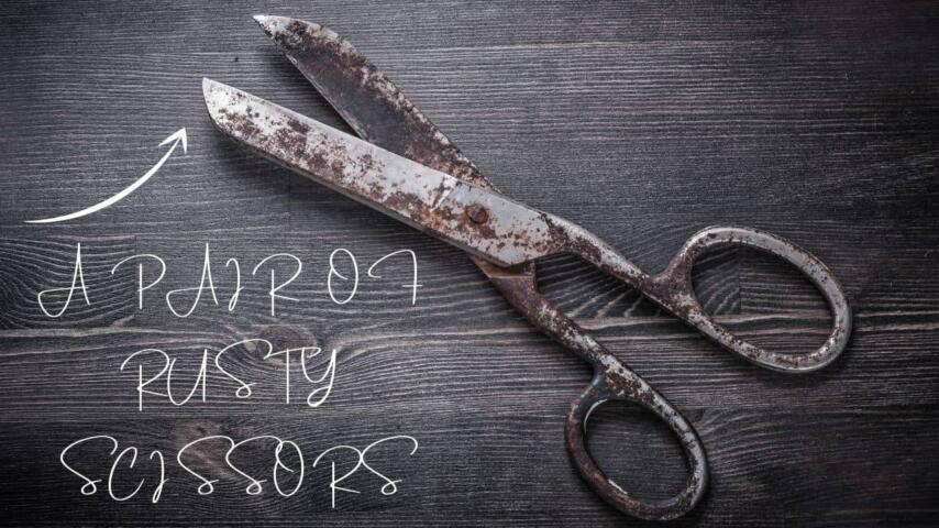 20 Things that Come in Pairs — with Example Sentences