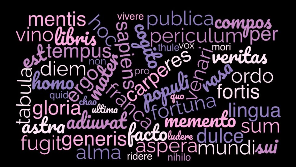 300+ Cool Words — Elevate Your Vocab Game