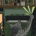 11 Cat Idioms Every Cat Lover Must Know