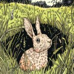 8 Rabbit Idioms to Leap Into Your Lexicon: A Burrow of Wisdom and Whimsy