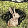 8 Rabbit Idioms to Leap Into Your Lexicon: A Burrow of Wisdom and Whimsy