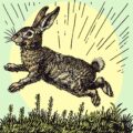 8 Rabbit Idioms to Leap Into Your Lexicon: A Burrow of Wisdom and Whimsy