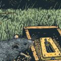 7 Rat Idioms That'll Trap Your Interest Instantly
