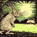 8 Rabbit Idioms to Leap Into Your Lexicon: A Burrow of Wisdom and Whimsy