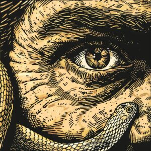 11 Snake Idioms to Add a Hiss of Mystery to Your Words