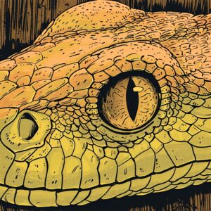 11 Snake Idioms to Add a Hiss of Mystery to Your Words