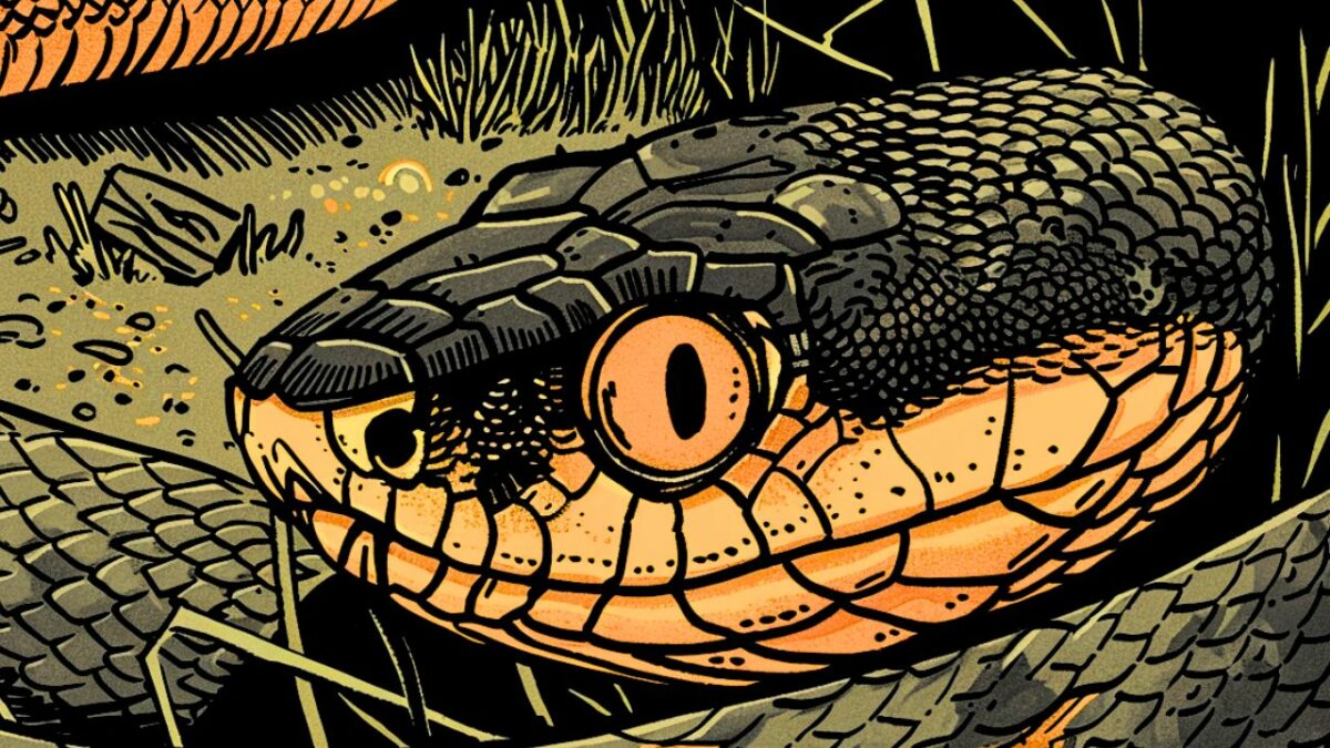 8 Rabbit Idioms to Leap Into Your Lexicon: A Burrow of Wisdom and Whimsy