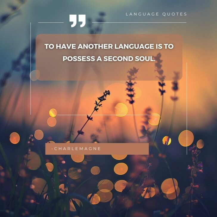 The Top 28 Best Language Quotes