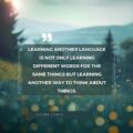 The Top 28 Best Language Quotes – Linguablog