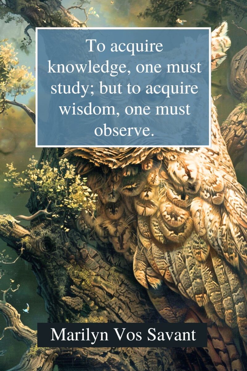 40 Wisdom Quotes to Inspire Your Day and Change Your Perspective ...