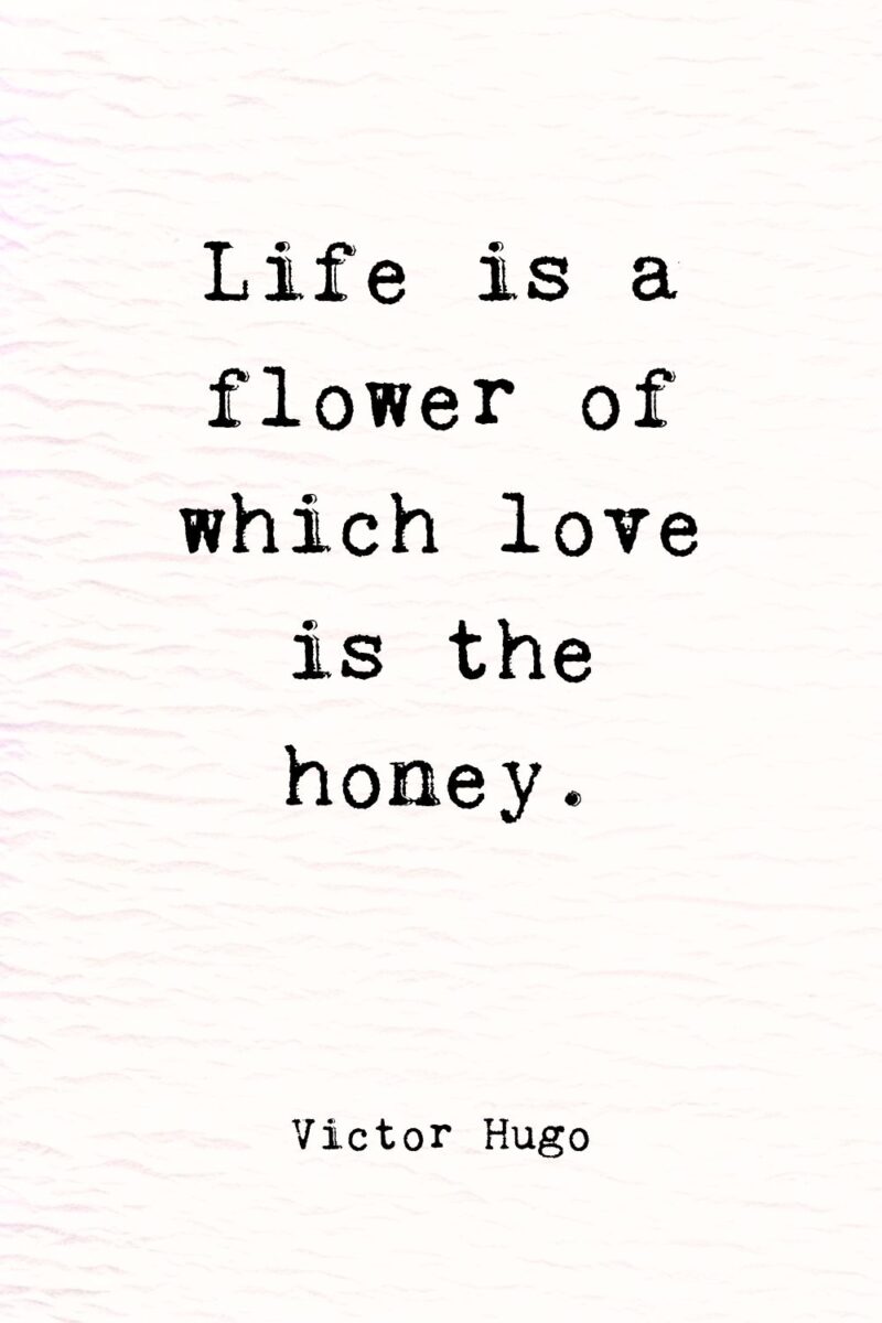 65 Deep Love Quotes to Melt Even the Coldest Hearts