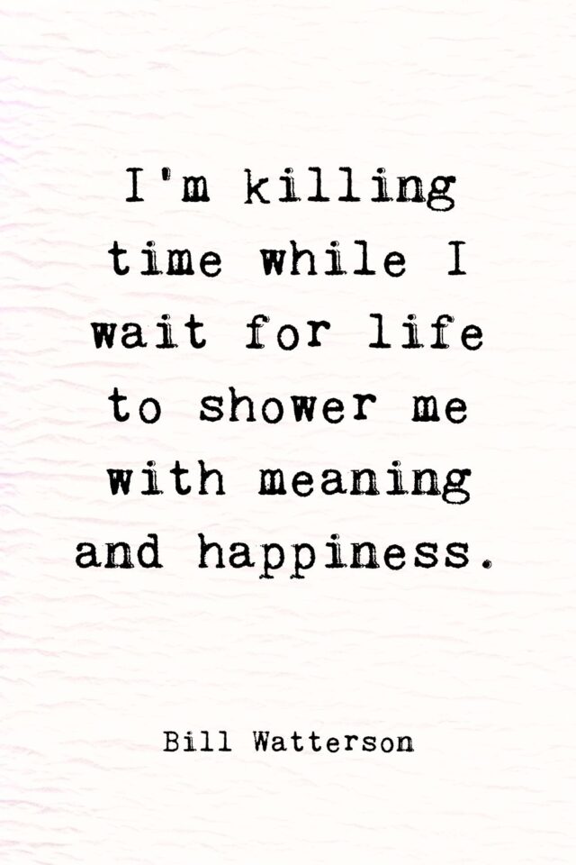 79 Funny Quotes About Life That Prove Humor is the Best Medicine!