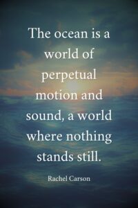 43 Ocean Quotes to Ride the Wave of Life