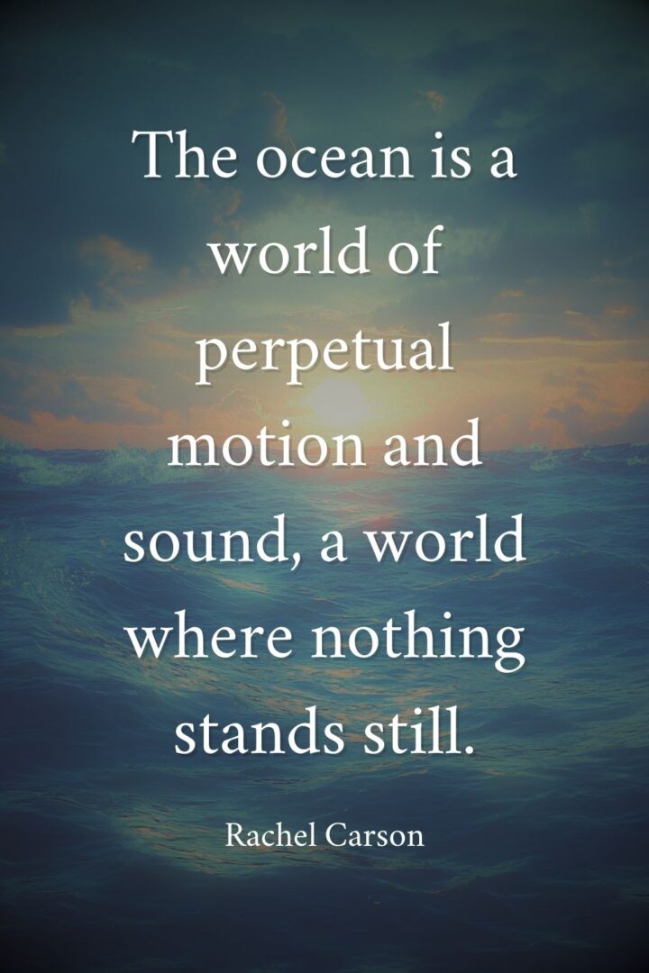 43 Ocean Quotes to Ride the Wave of Life