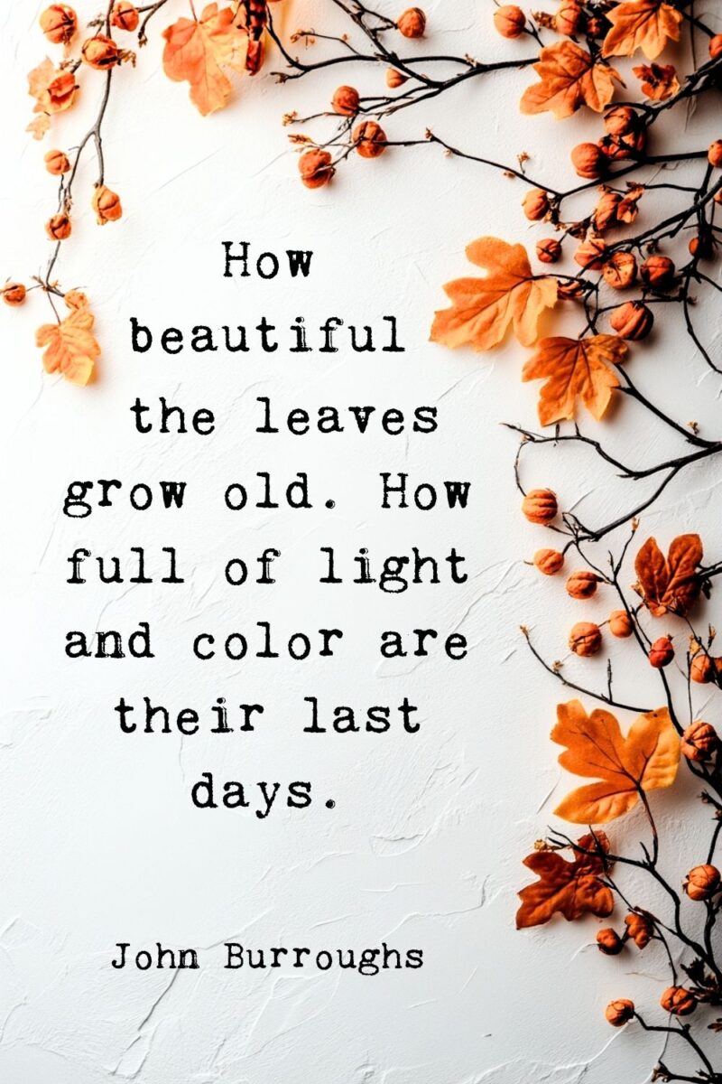 69 Fall Quotes That'll Make You Want to Jump in a Pile of Leaves