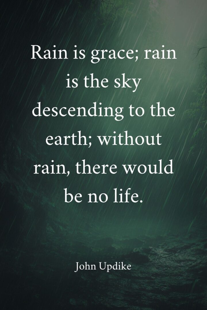 88 Droplets of Wisdom: Rain Quotes from Clouds to Ground