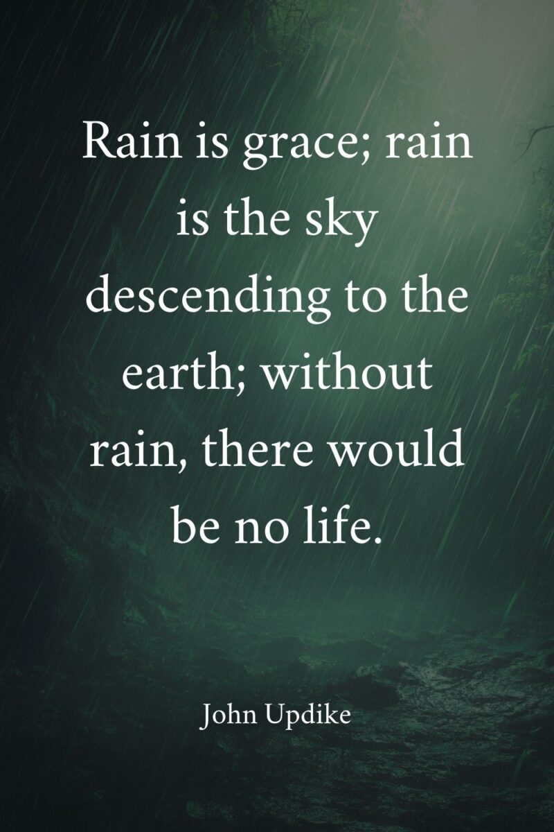 88 Droplets of Wisdom: Rain Quotes from Clouds to Ground