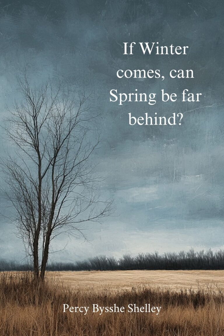A Cup of Cocoa and 87 Delightful Winter Quotes: The Perfect Recipe for ...
