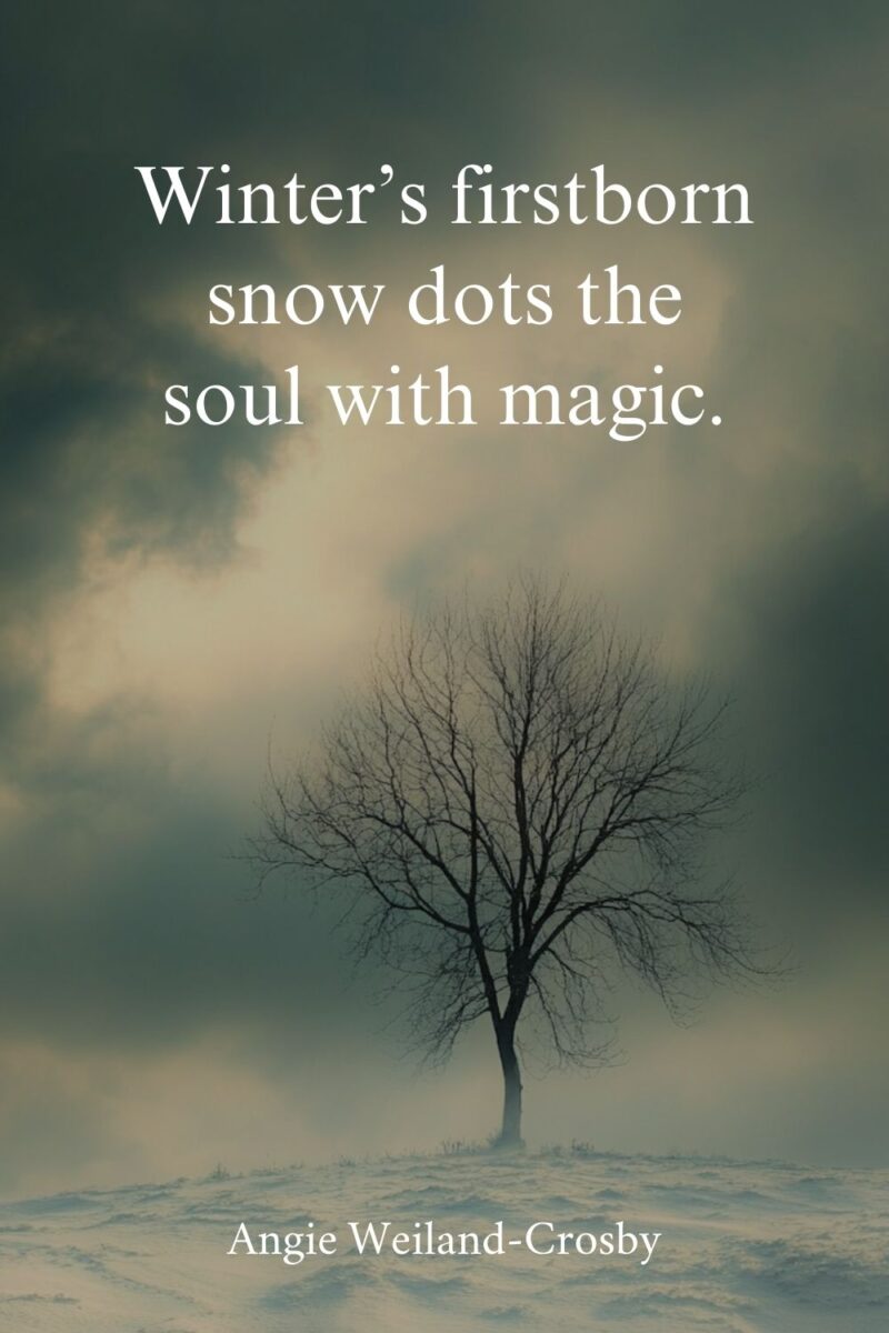 A Cup of Cocoa and 87 Delightful Winter Quotes: The Perfect Recipe for ...