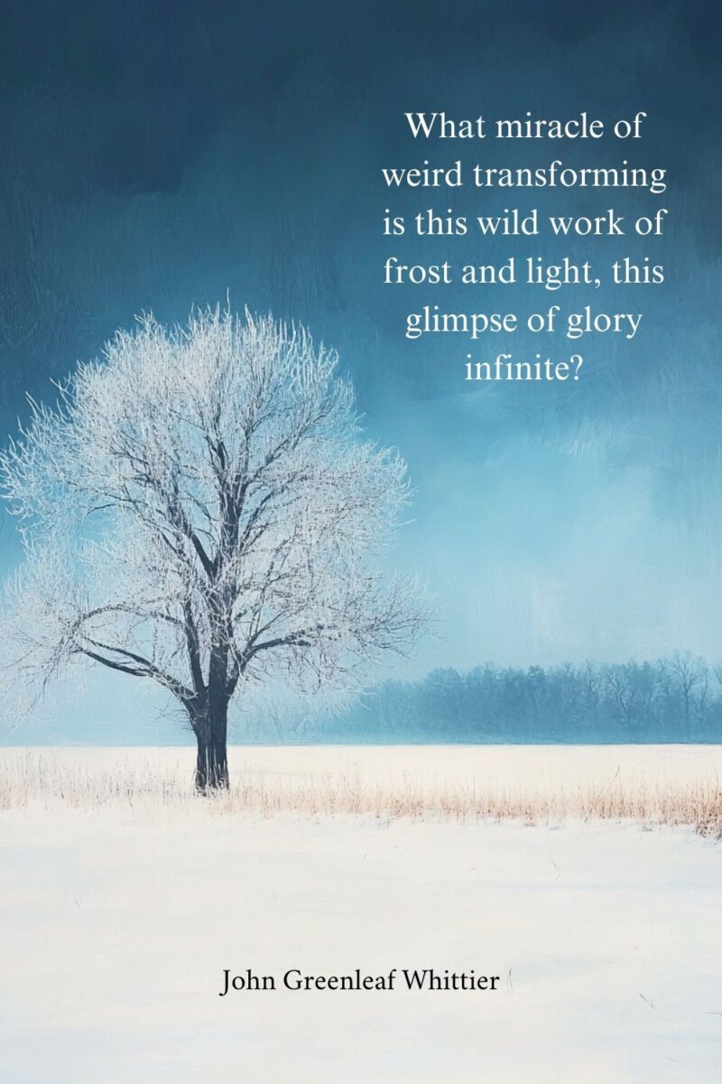 A Cup of Cocoa and 87 Delightful Winter Quotes: The Perfect Recipe for ...