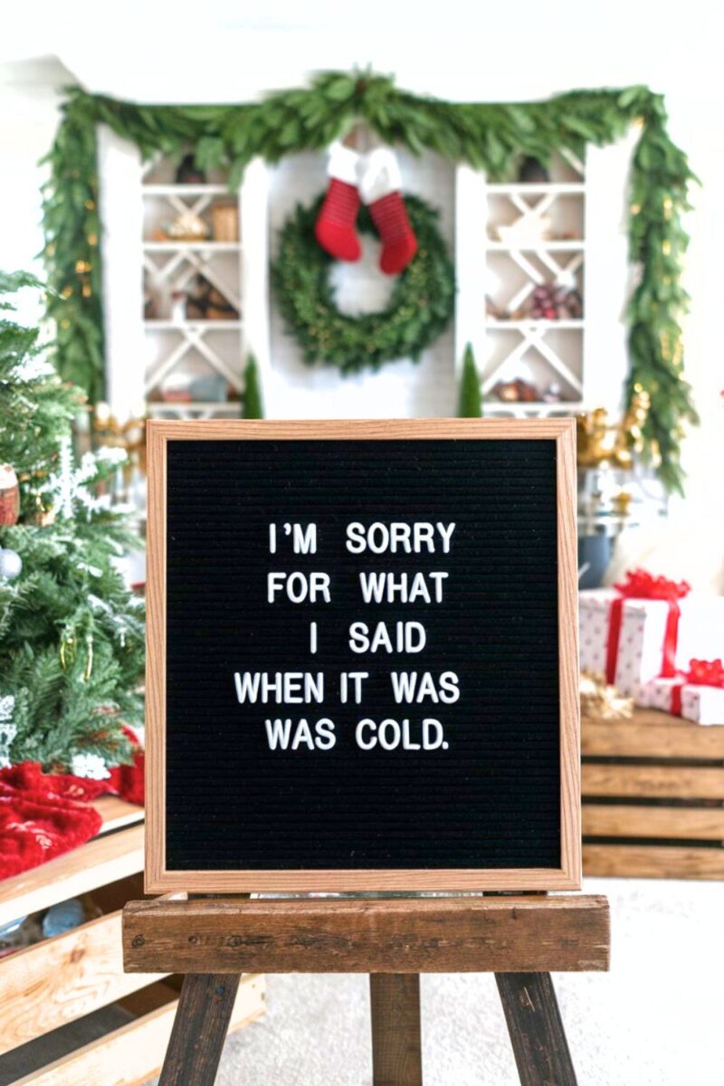 Snow Much Fun: 89 Winter Letterboard Quotes That Sleigh Every Time