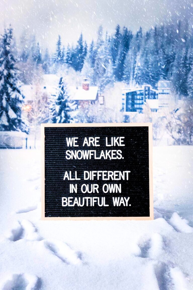 Snow Much Fun: 89 Winter Letterboard Quotes That Sleigh Every Time