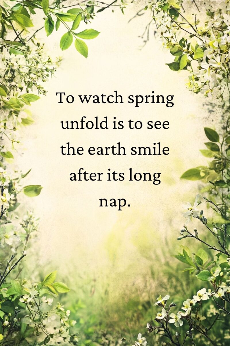 85 Spring Sayings That'll Put a Skip in Your Step