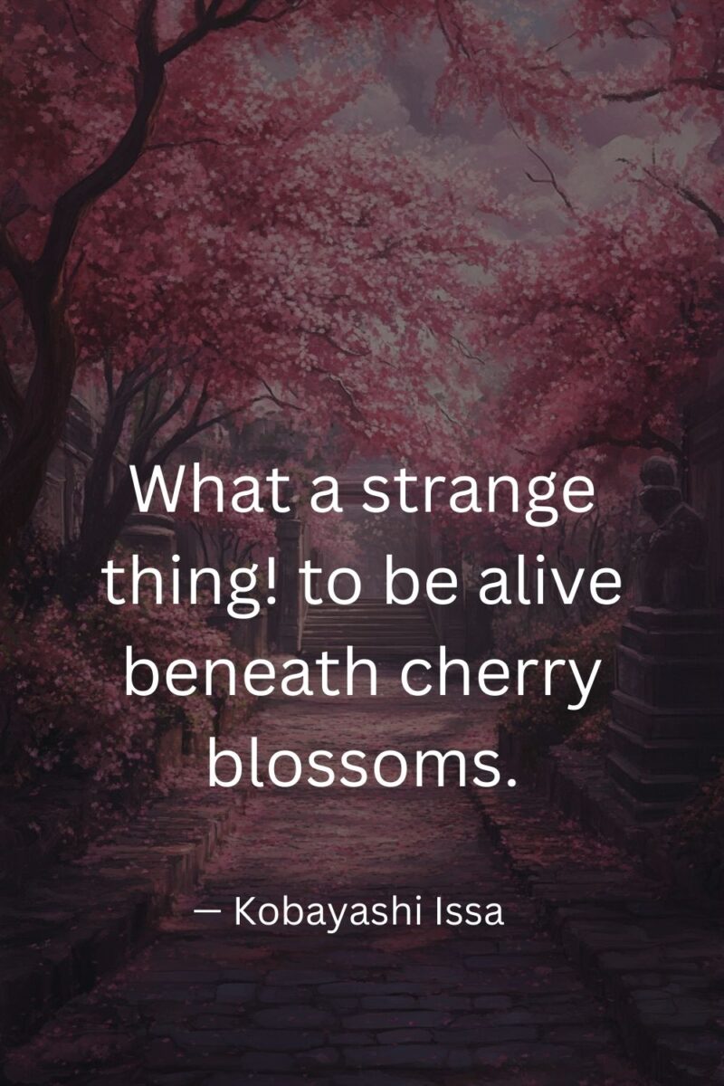 85 Spring Sayings That'll Put a Skip in Your Step