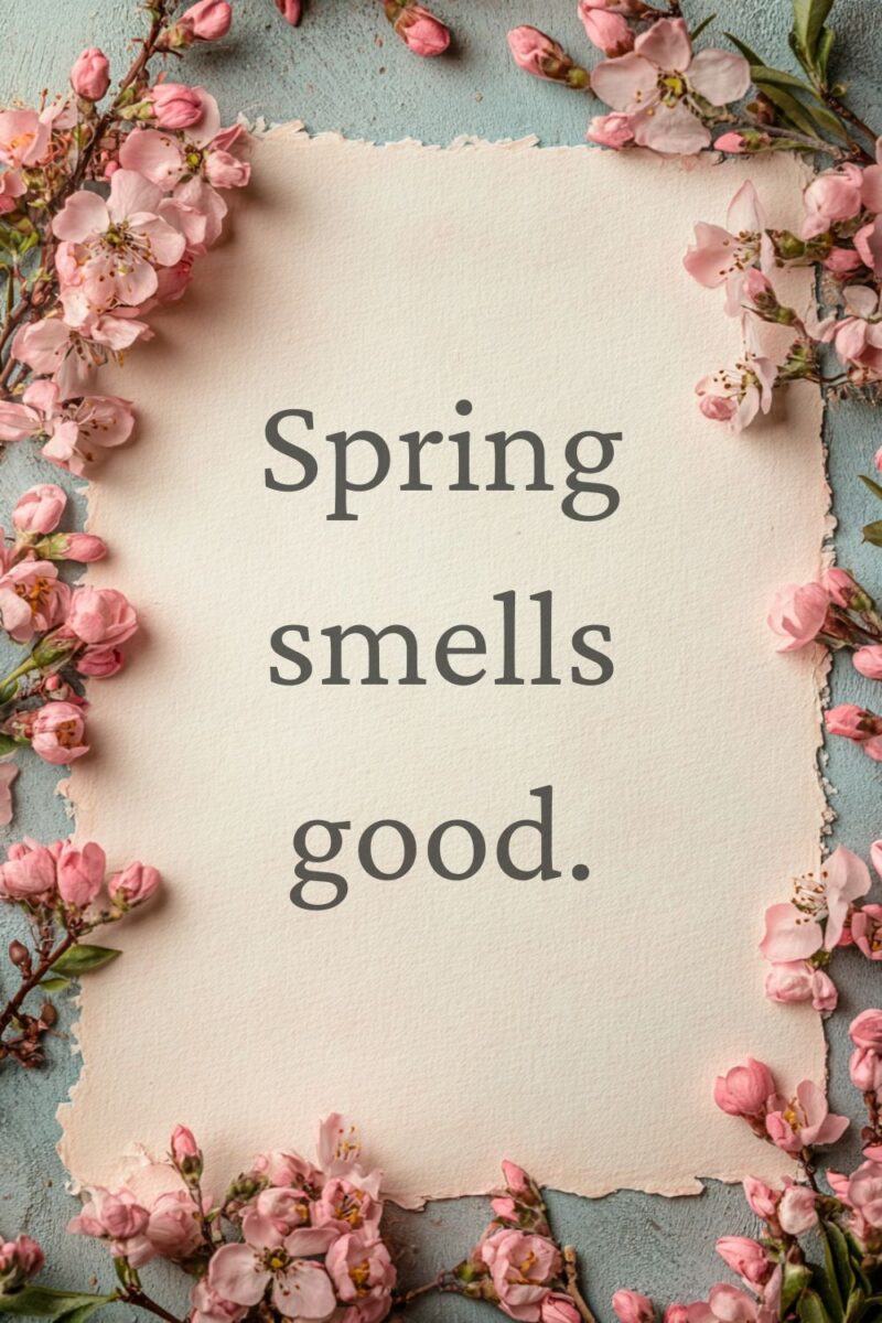 Words in Bloom: 81 Must-Try Spring Quotes for Your Letterboard