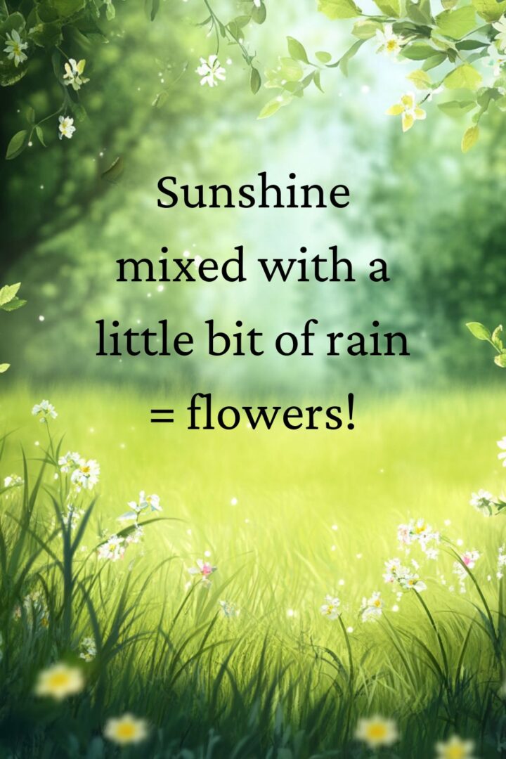 Words in Bloom: 81 Must-Try Spring Quotes for Your Letterboard