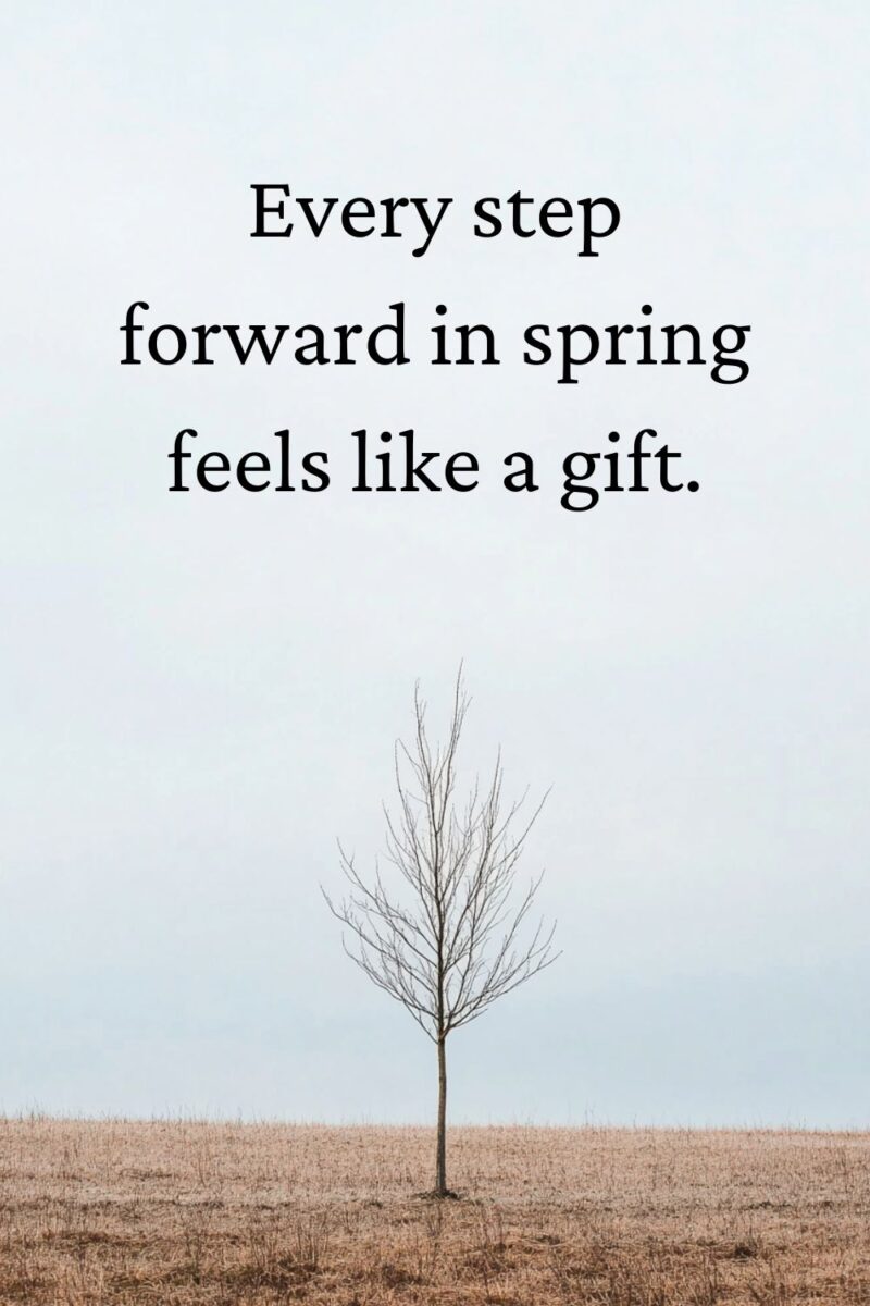 Words in Bloom: 81 Must-Try Spring Quotes for Your Letterboard