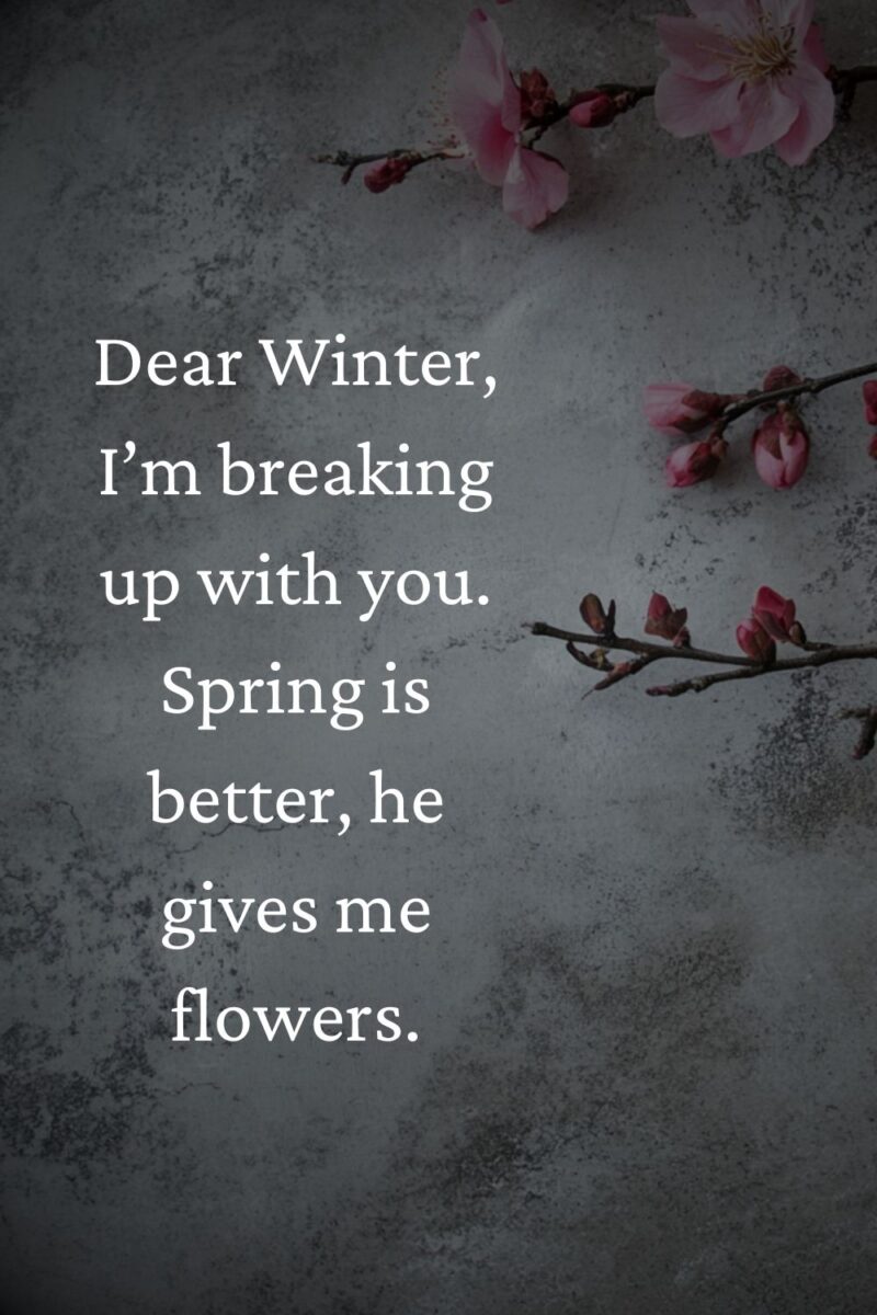 Words in Bloom: 81 Must-Try Spring Quotes for Your Letterboard