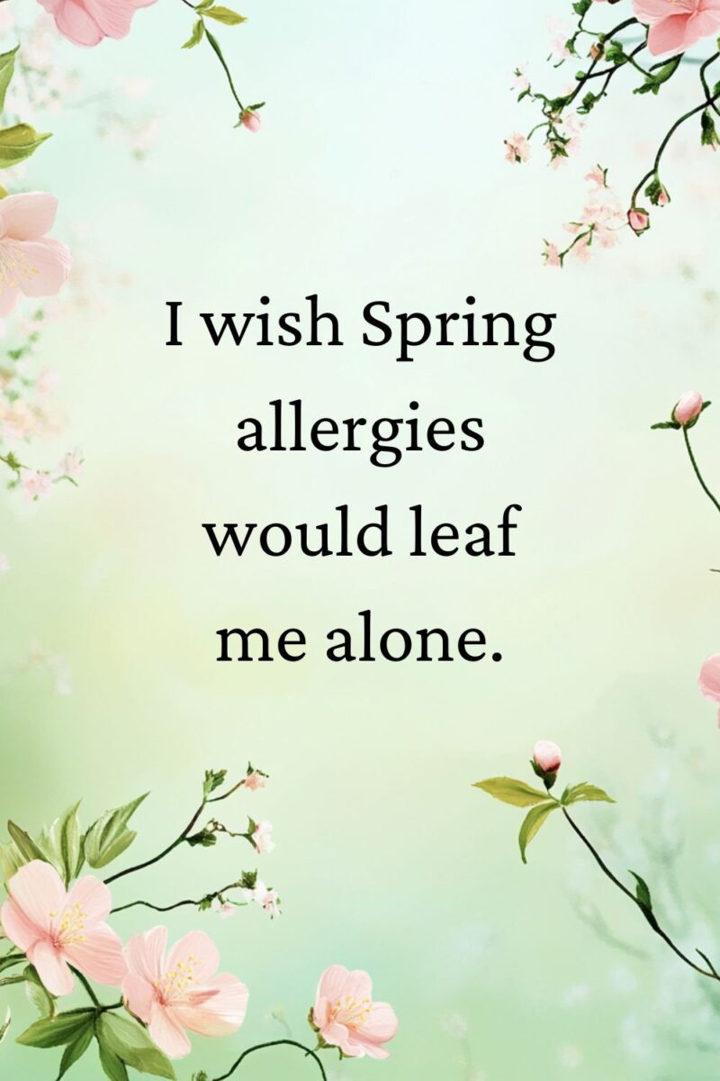 Words in Bloom: 81 Must-Try Spring Quotes for Your Letterboard